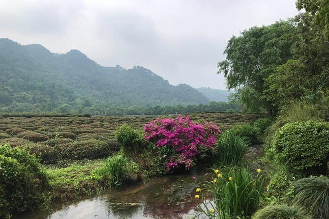 Small group: Hangzhou Full-day Classic Tour with Bullet Train from/to Shanghai - Who Will Love This Tour?