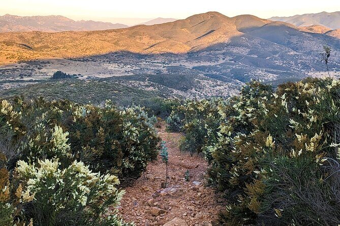 Small Group Hike Through San Diego's Heart and Soul - Key Points