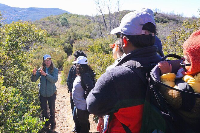 Small Group Hike Through San Diego's Heart and Soul - Practical Details and Value