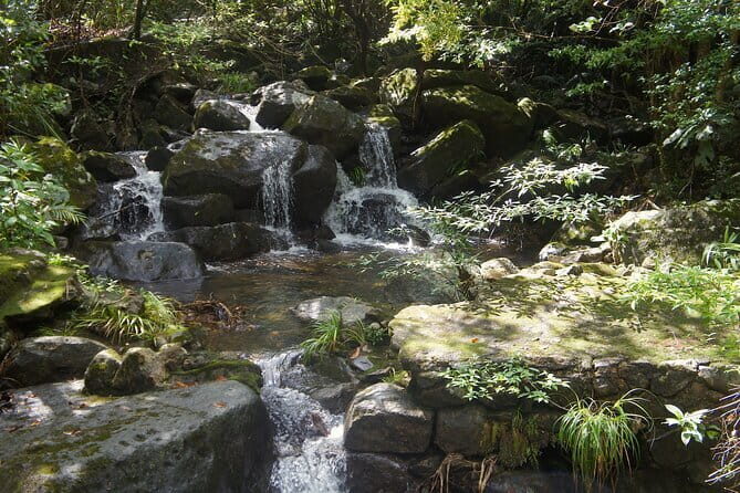 Small Group Hike to Ma On Shan Highland - What’s Special About This Tour?