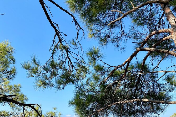 Small group hiking between the beach and Kritinia Castle - The Sum Up: Is This Tour Worth It?