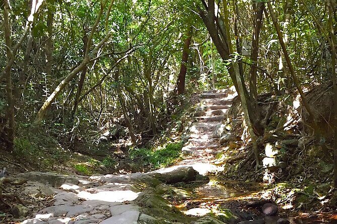 Small Group Hiking Day Tour to Lai Chi Wo - Authentic Experiences and Authentic Value