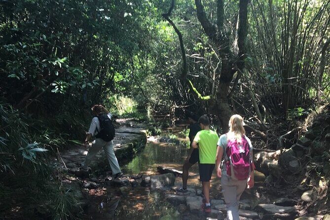 Small Group Hiking Day Tour to Lai Chi Wo - Final Thoughts