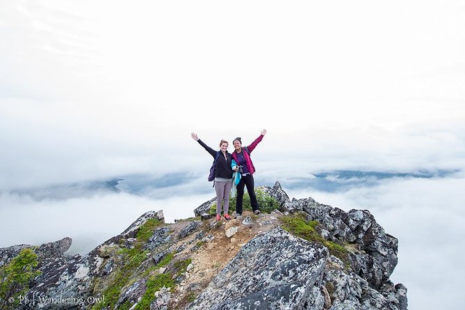 Small-Group Hiking Tour From Tromsø - Wildlife and Natural Scenery
