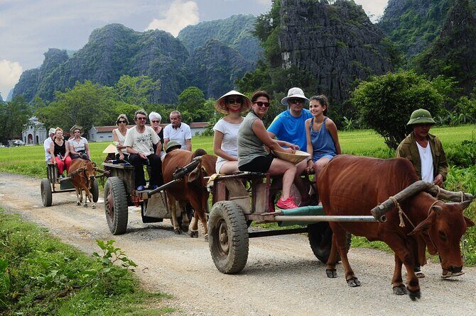 Small Group History Tour to Ninh Binh with Lunch - Who Will Love This Tour?