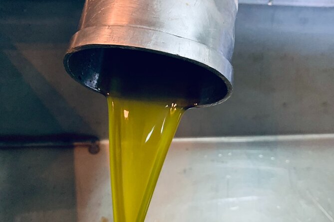 Small-Group Honey & Extra Virgin Olive Oil Tasting Tour in Crete - Logistics and Accessibility