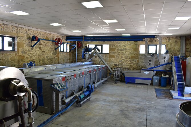 Small-Group Honey & Extra Virgin Olive Oil Tasting Tour in Crete - Highlights of the Tour