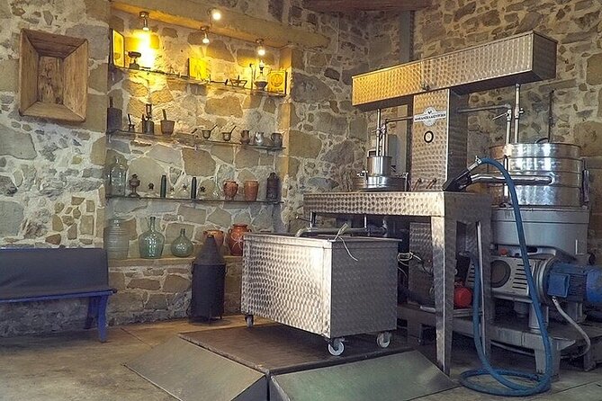 Small-Group Honey & Extra Virgin Olive Oil Tasting Tour in Crete - Exploring Cretes Culinary Traditions