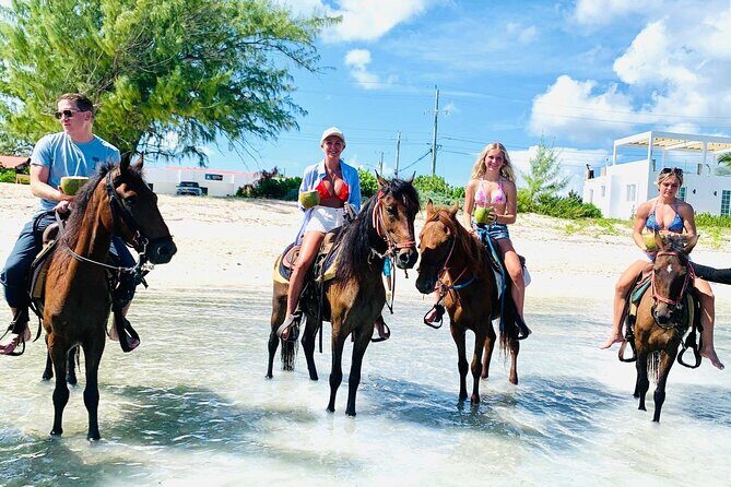 Small Group Horseback Riding Adventure in Caicos Islands - An Authentic Beach Horseback Ride in Providenciales