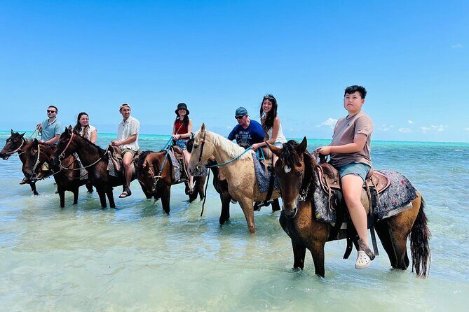 Small Group Horseback Riding Adventure in Caicos Islands - The Beach and Environment