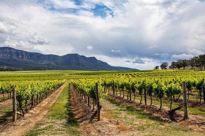 Small-Group Hunter Valley Wine Tasting Tour from Sydney - Key Points