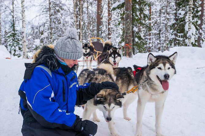 Small-Group Husky Mushing Experience in Rovaniemi - Reviews and Testimonials