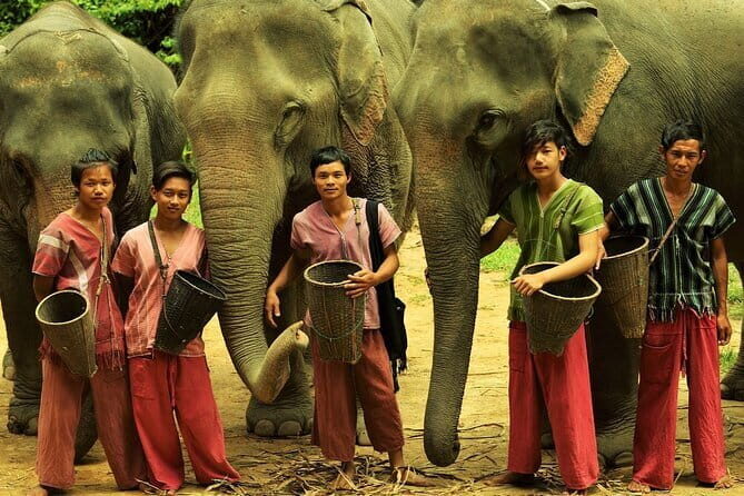 Small Group immersive Elephant Sanctuary & Karen Tribe life - An In-Depth Look at the Tour Experience