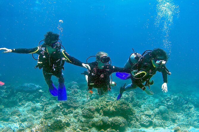 Small-Group Introductory Scuba Diving in Pula - Meeting and Pickup Details