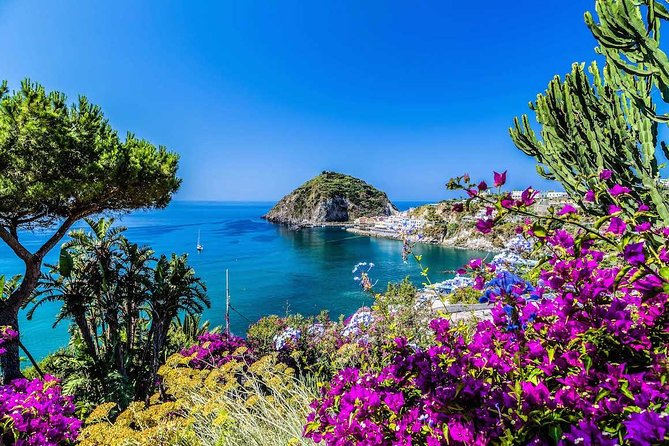 Small Group Ischia and Procida Boat Day Tour from Sorrento - Exploring the Itinerary in Detail