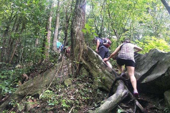 Small-Group Jungle Hiking Excursion in Khao Phra Teaw Park - The Lunch and Cultural Touch