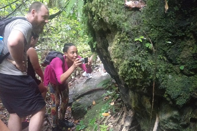 Small-Group Jungle Hiking Excursion in Khao Phra Teaw Park - Practical Details: Transportation, Pricing, and Group Size