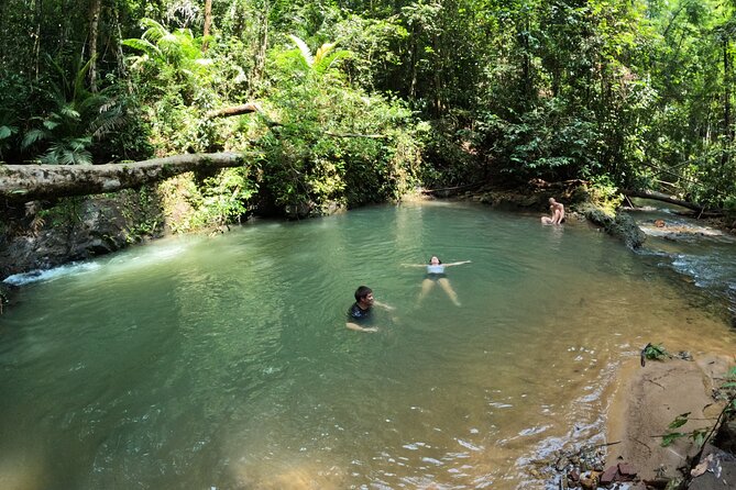 Small-Group Jungle Hiking Excursion in Khao Phra Teaw Park - Summary: Who Will Love This Tour?