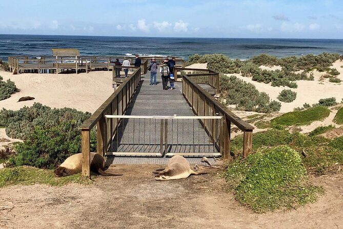 Small Group Kangaroo Island Tour - Best of KI - What Makes This Tour Stand Out?