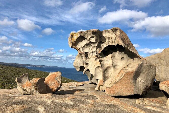 Small Group Kangaroo Island Tour - Best of KI - What the Reviews Say