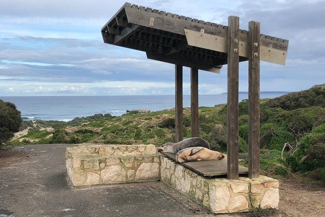 Small Group Kangaroo Island Tour - Seal Bay - Exploring Kangaroo Island Through a Full-Day 4WD Adventure