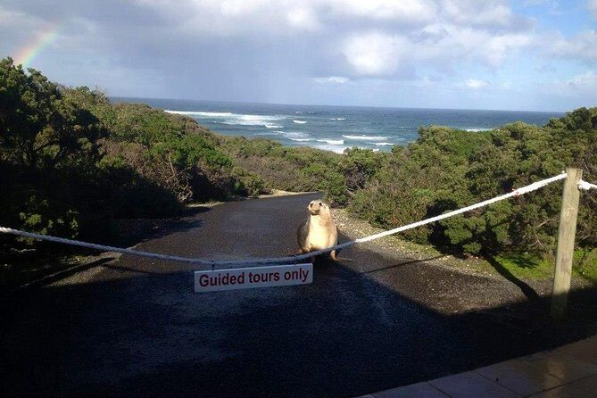 Small Group Kangaroo Island Tour - Seal Bay - Frequently Asked Questions