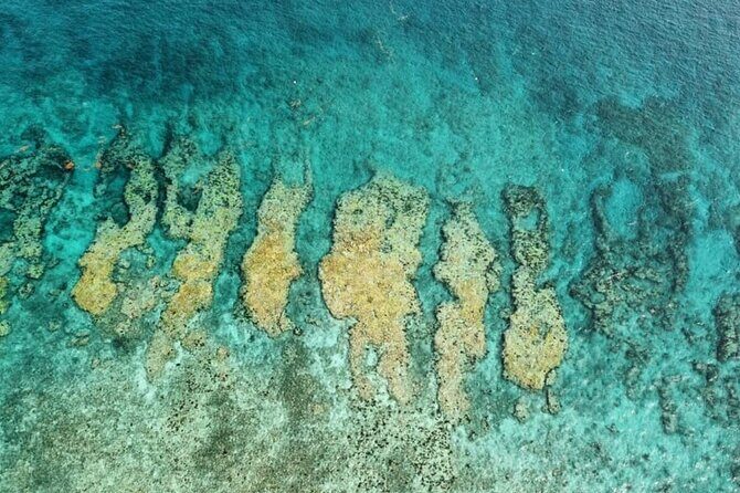 Small Group Key West Snorkel Adventure - An Overview of the Snorkel Adventure