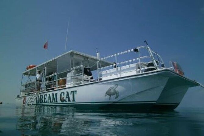 Small Group Key West Snorkel Adventure - What Makes This Tour Special?