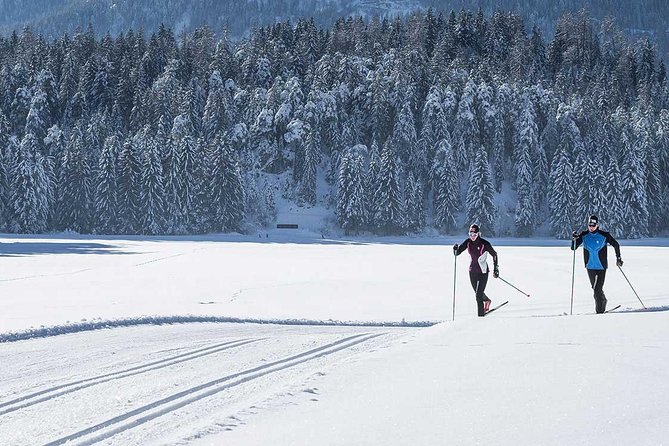 Small-Group Lapland Cross Country Ski - Value and Cost Analysis