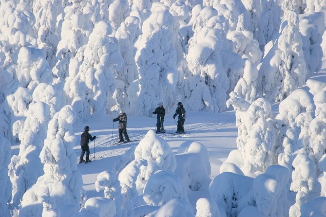 Small-Group Lapland Cross Country Ski - Practical Tips for Participants