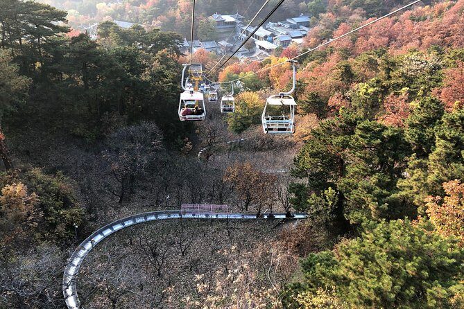 Small Group Layover Tour from Beijing Airport to Mutianyu Great Wall - Experience the Mutianyu Great Wall on a Practical, Authentic Tour