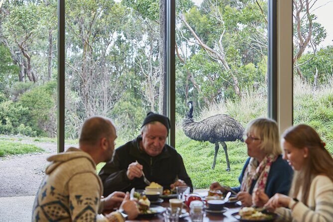 Small Group Luxe Bus Great Ocean Road Coastal Spectacular Tour - Who Should Book This Tour?
