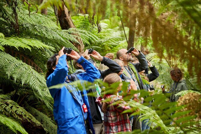 Small Group Luxe Bus Great Ocean Road Coastal Spectacular Tour - The Sum Up