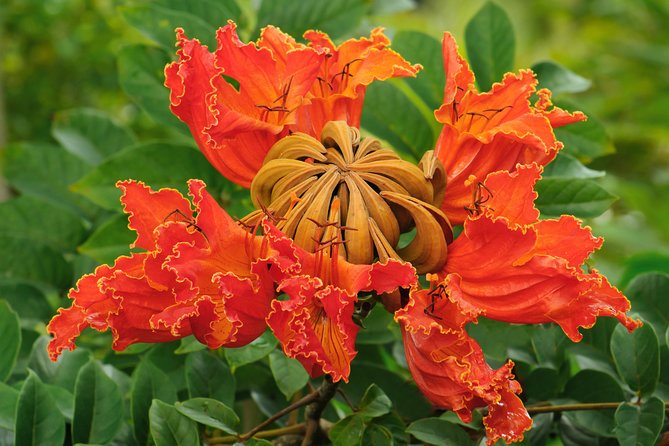 Small-Group Luxury Tour: Road to Hana and Kaeleku Cavern Day Trip - Frequently Asked Questions