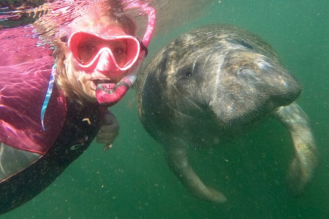 Small Group Manatee Snorkel Tour with In-Water Guide and Photographer - The Itinerary and What to Expect