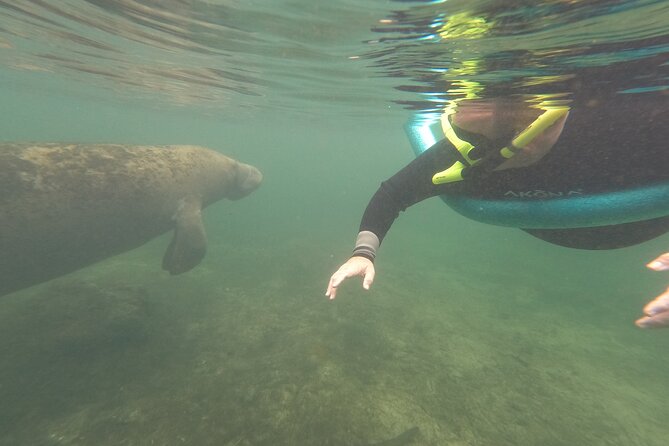 Small Group Manatee Snorkel Tour with In-Water Guide and Photographer - Photography and Comfort