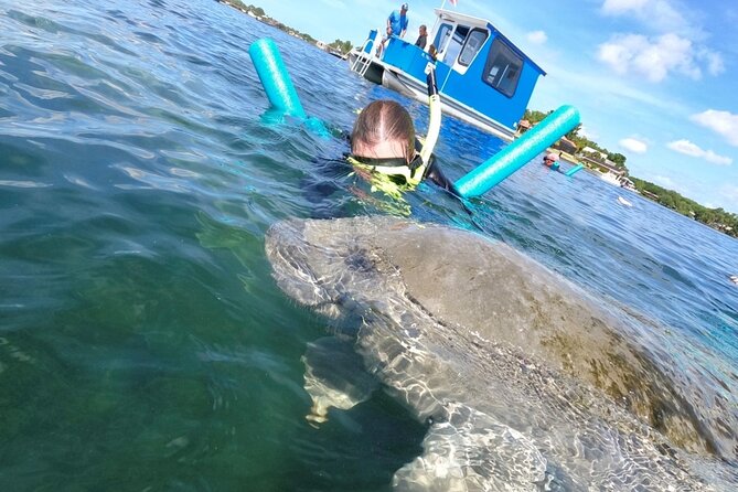 Small Group Manatee Snorkel Tour with In-Water Guide and Photographer - Price and Value
