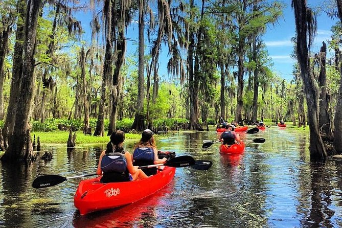 Small-Group Manchac Swamp Kayak Tour - Small-Group Manchac Swamp Kayak Tour: A Natural Escape Just Outside New Orleans