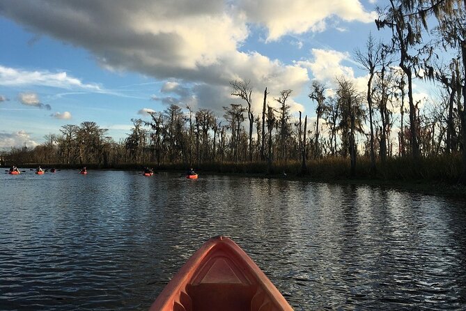 Small-Group Manchac Swamp Kayak Tour - The Paddle and the Scenery