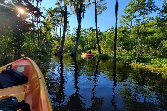 Small-Group Manchac Swamp Kayak Tour - Wildlife and Natural Highlights