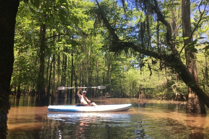 Small-Group Manchac Swamp Kayak Tour - The Experience in Context: Is It Worth It?