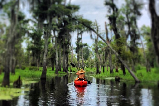 Small-Group Manchac Swamp Kayak Tour - Final Thoughts