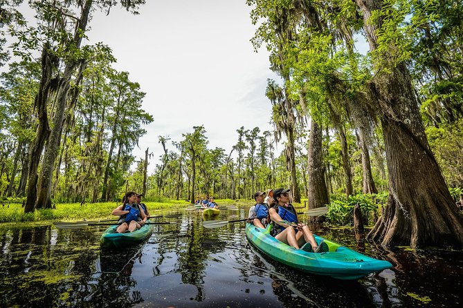 Small-Group Manchac Swamp Kayak Tour with Local Guide - Key Points