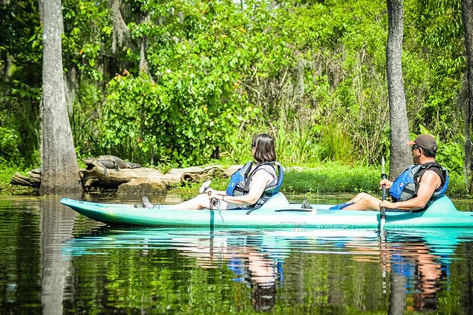 Small-Group Manchac Swamp Kayak Tour with Local Guide - The Reviews Speak Volumes