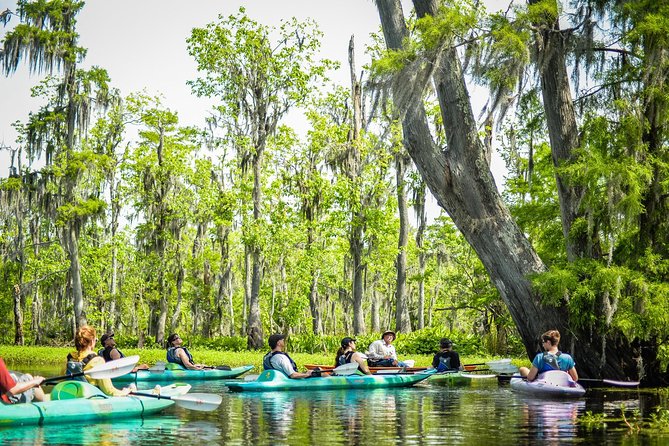 Small-Group Manchac Swamp Kayak Tour with Local Guide - FAQ