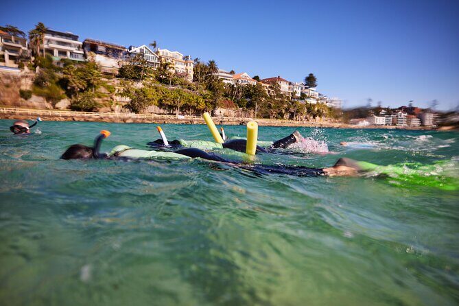 Small Group Manly Snorkel Tour and Nature Walk with Local Guide - The Sum Up