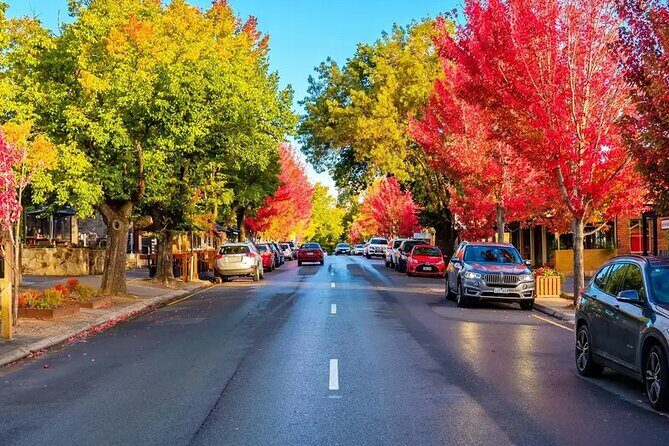 Small Group McLaren Vale and Hahndorf Tour - Who Should Consider This Tour?