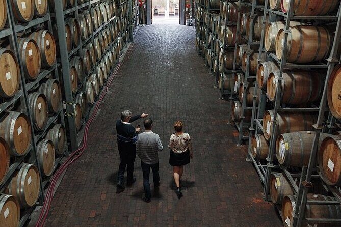 Small Group McLaren Vale and The Cube Experience - Who Should Consider This Tour?