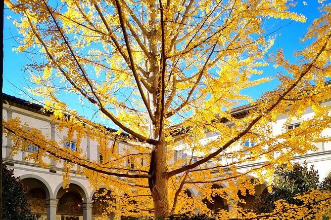 Small Group Medici and Michelangelo Tour in Florence - Final Thoughts