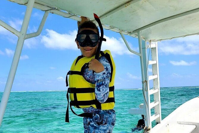 Small-Group Mesoamerican Barrier Reef Snorkeling in Puerto Morelos - What Travelers Are Saying